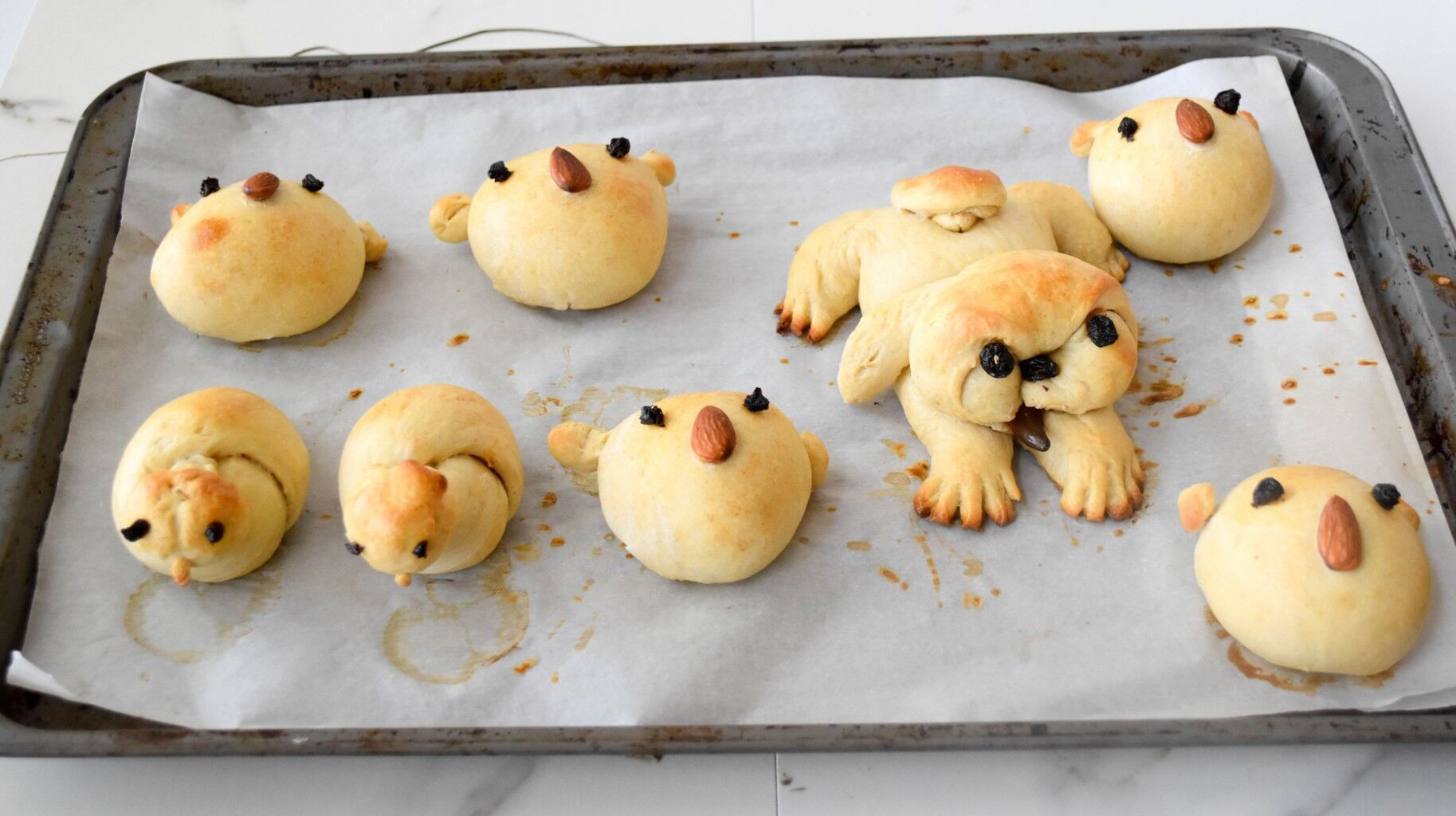 Sourdough Animal-Shaped Breads - Zesty South Indian Kitchen