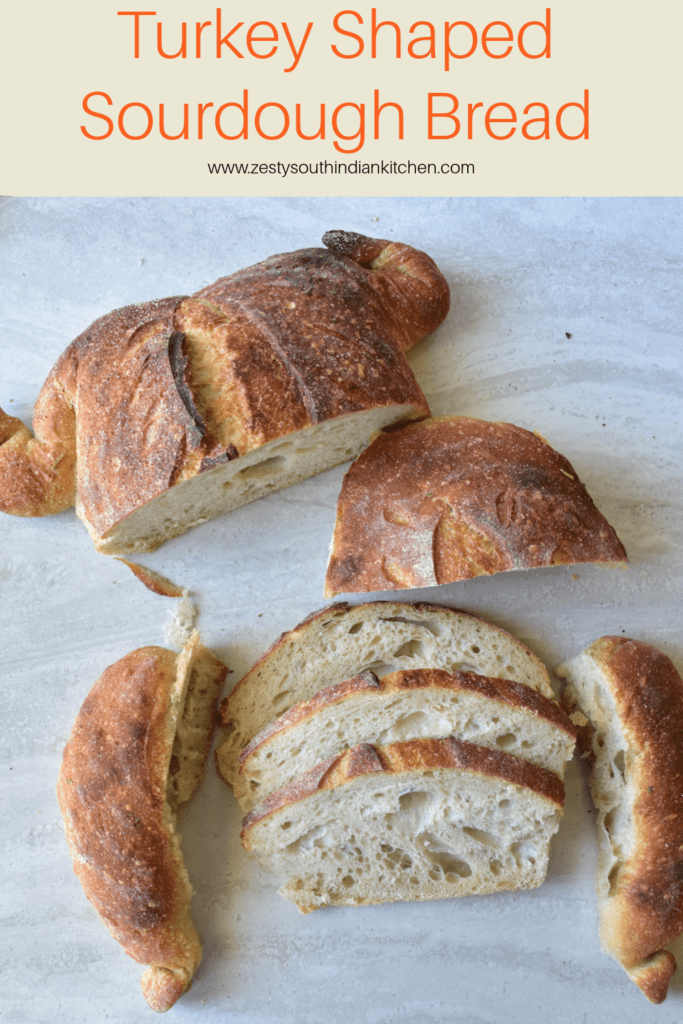 Turkey Shaped Sourdough Bread - Zesty South Indian Kitchen