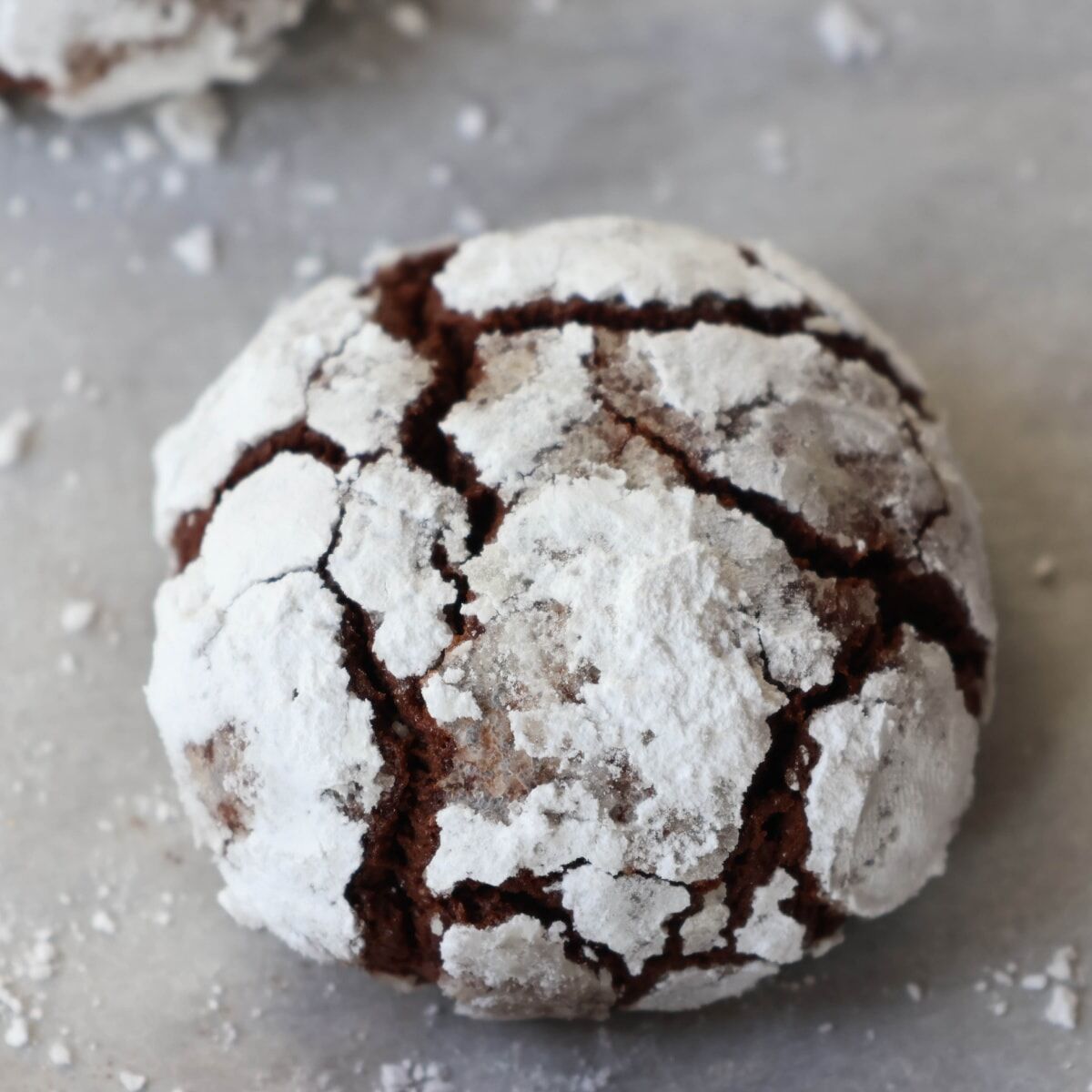 Sourdough Chocolate Crinkle Cookies - Zesty South Indian Kitchen