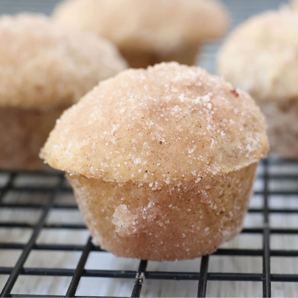 Sourdough Doughnut Muffins - Zesty South Indian Kitchen