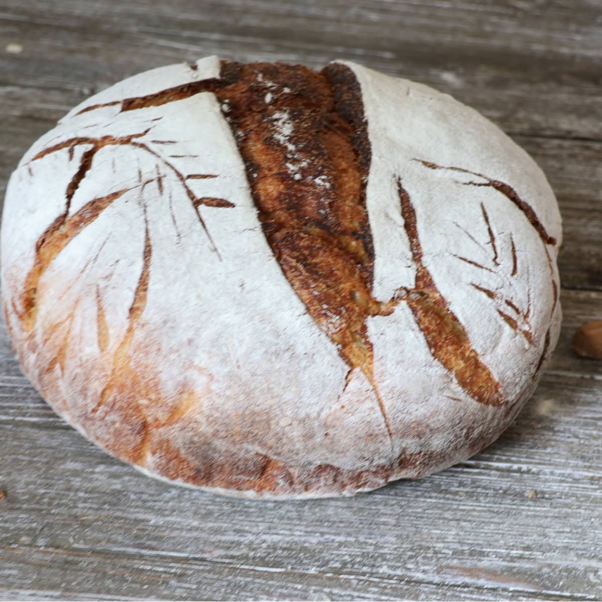 Sourdough Khameeri Roti - Zesty South Indian Kitchen