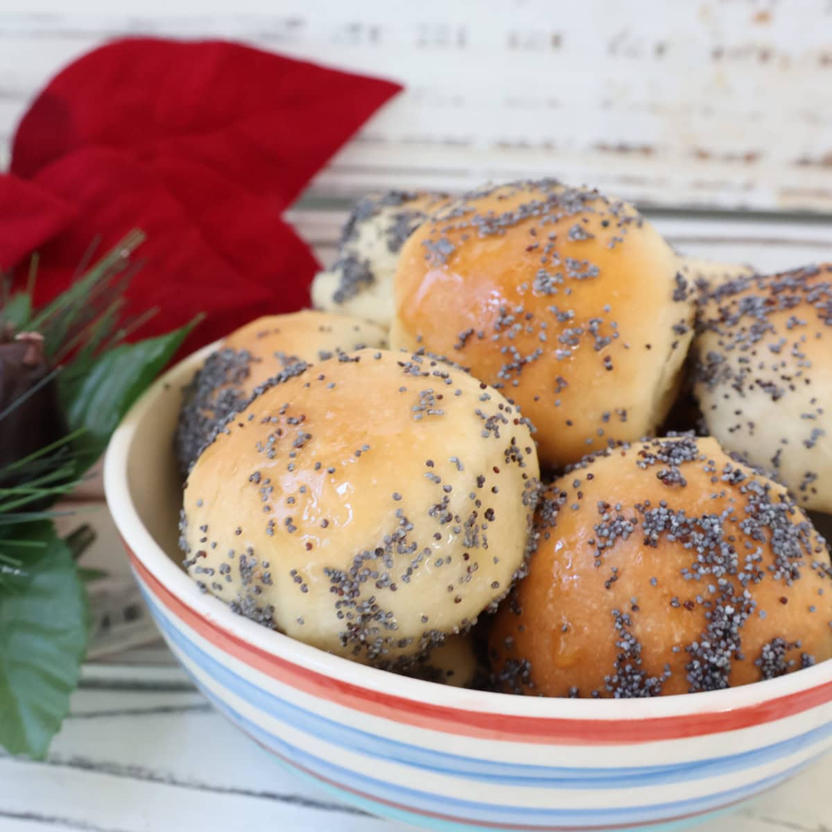 Sourdough Bobalki (Slovakian Christmas Eve Dough Balls) - Zesty South ...