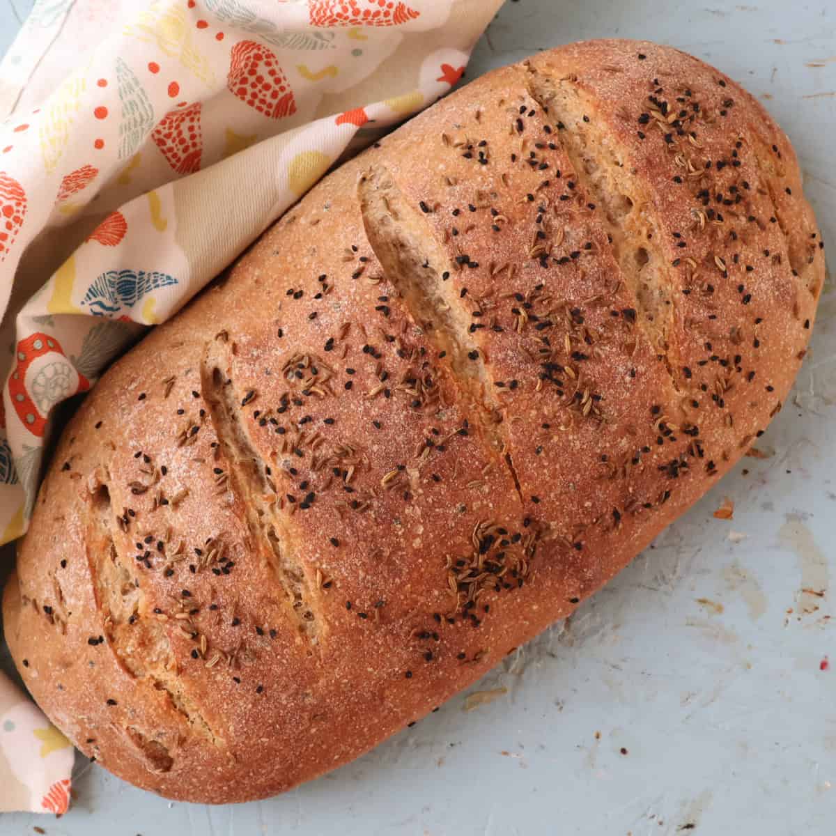 Sourdough Bobalki (Slovakian Christmas Eve Dough Balls) - Zesty South ...