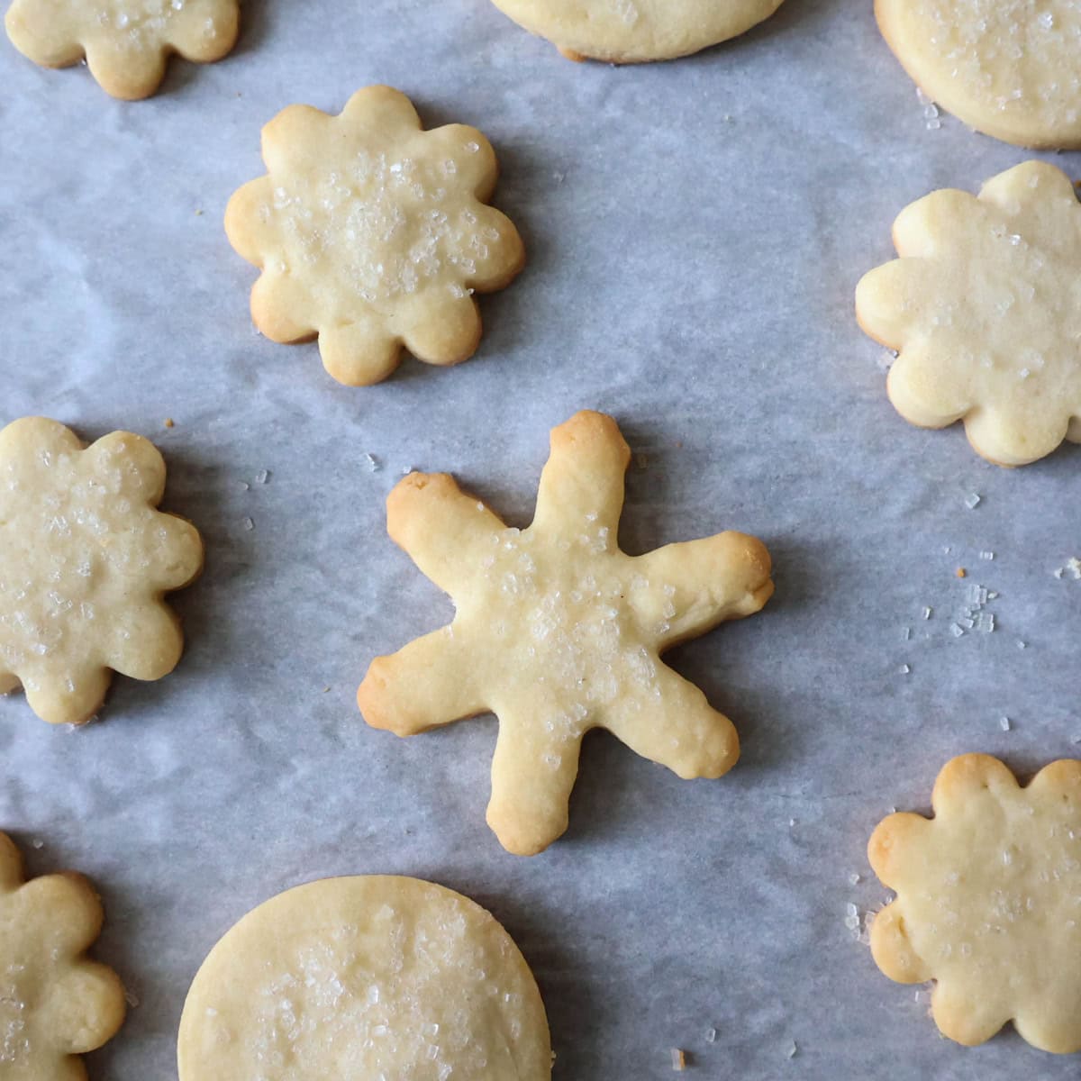 Sourdough Shortbread Cookies: (Easy Discard Recipe) - Zesty South ...