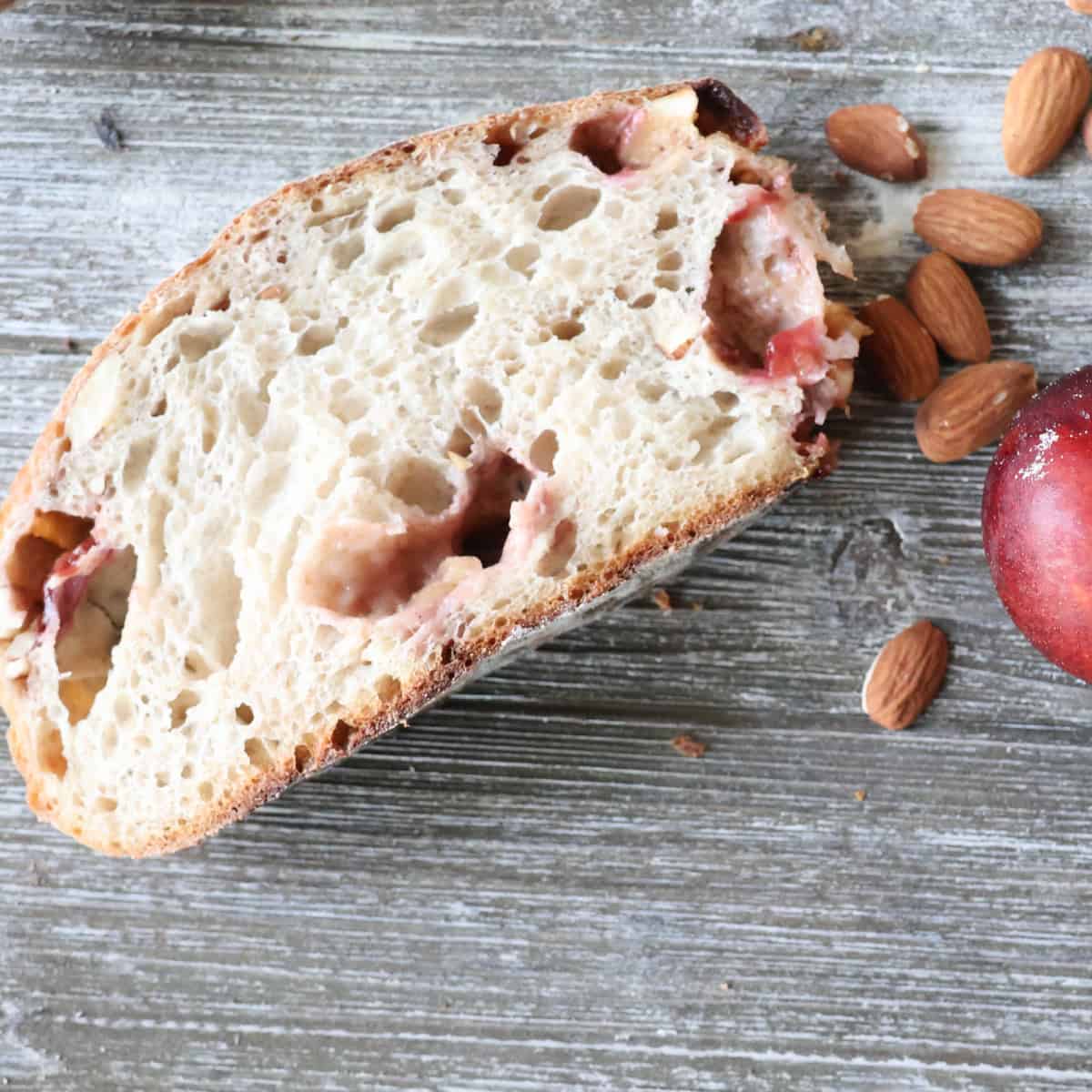 Sourdough Plum Almond Bread - Zesty South Indian Kitchen